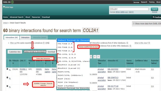 IntAct Database.pptx