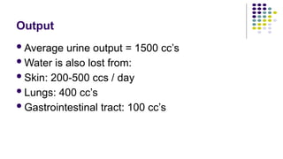 Intake and output charting in nursing care | PPTX