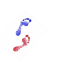 ED Process Redesign | PPT