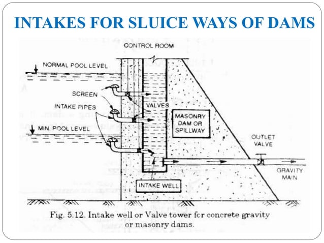 Intake structures | PPTX