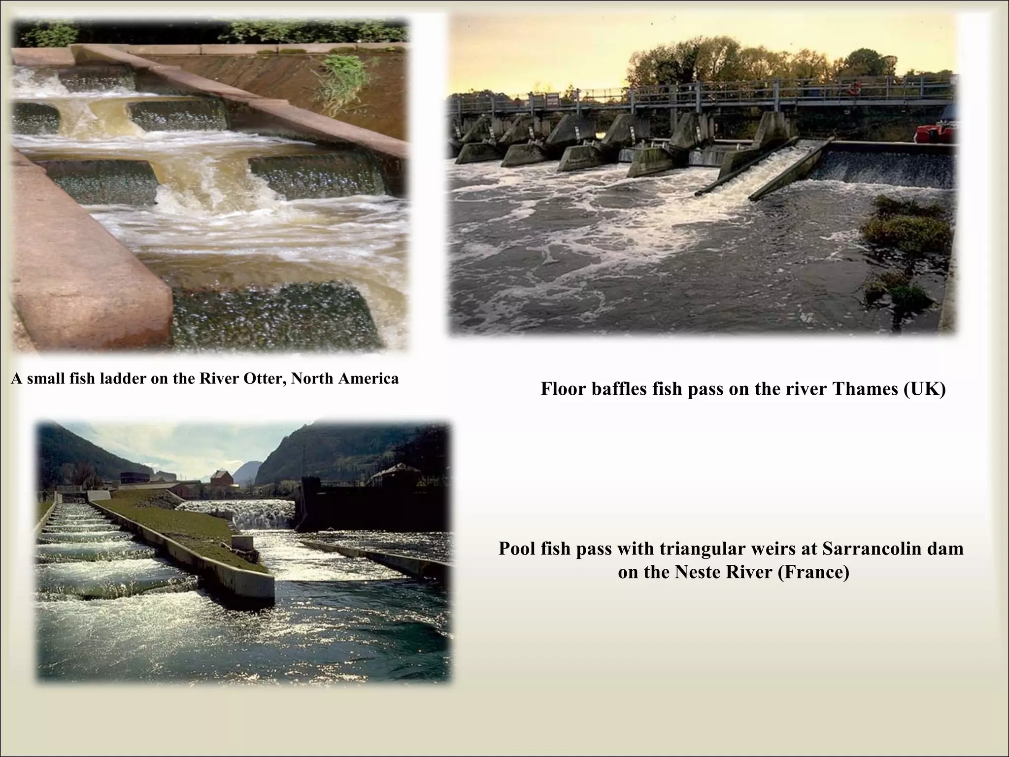 Intake works at diversion | PPT