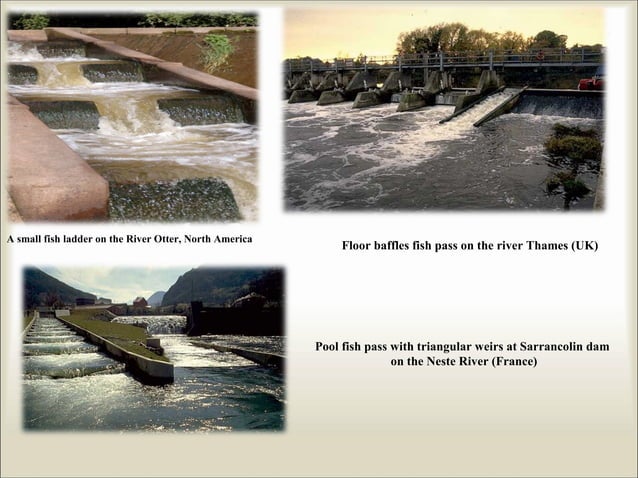 Intake works at diversion | PPT