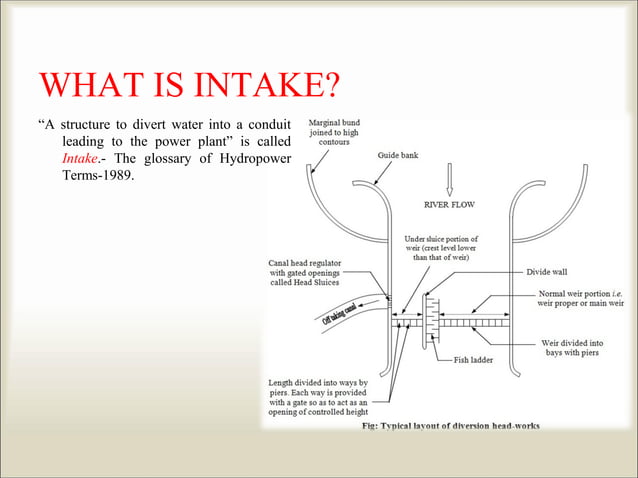 Intake works at diversion | PPT