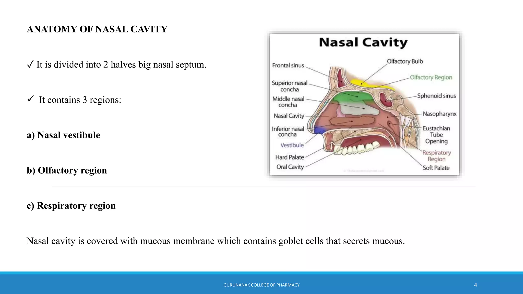 Inta nasal Drug Delivery System.pptx