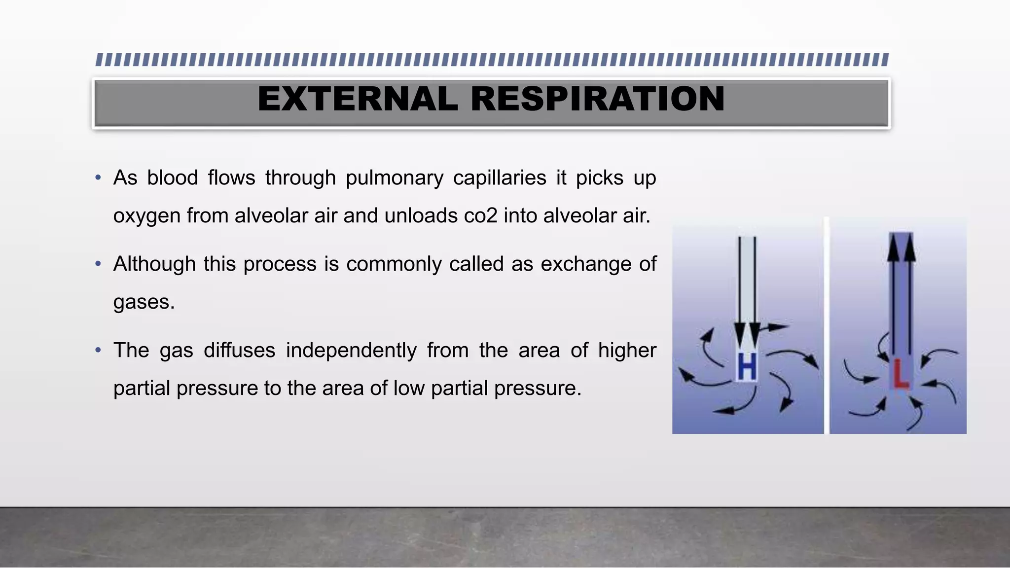 Int and ext respiration | PPTX