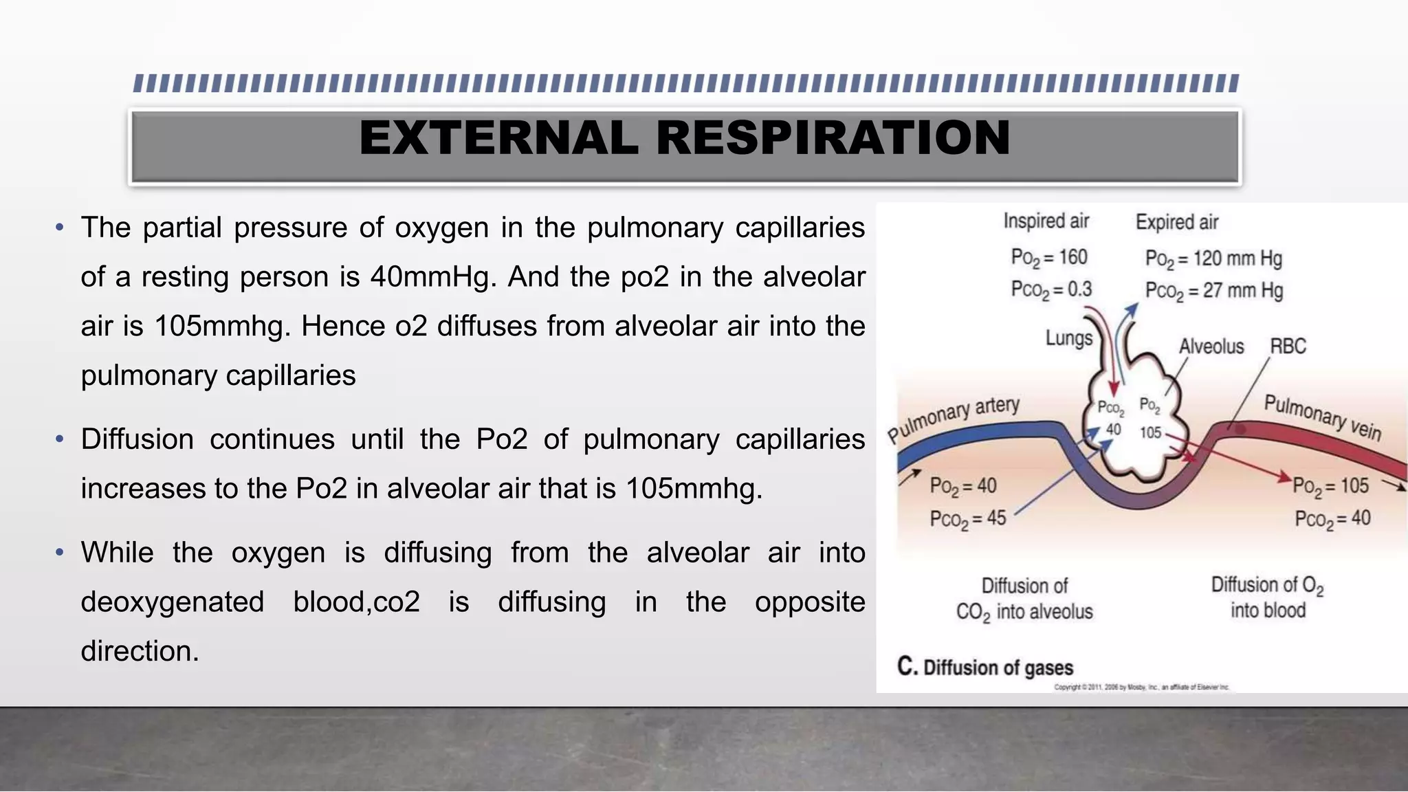 Int and ext respiration | PPTX
