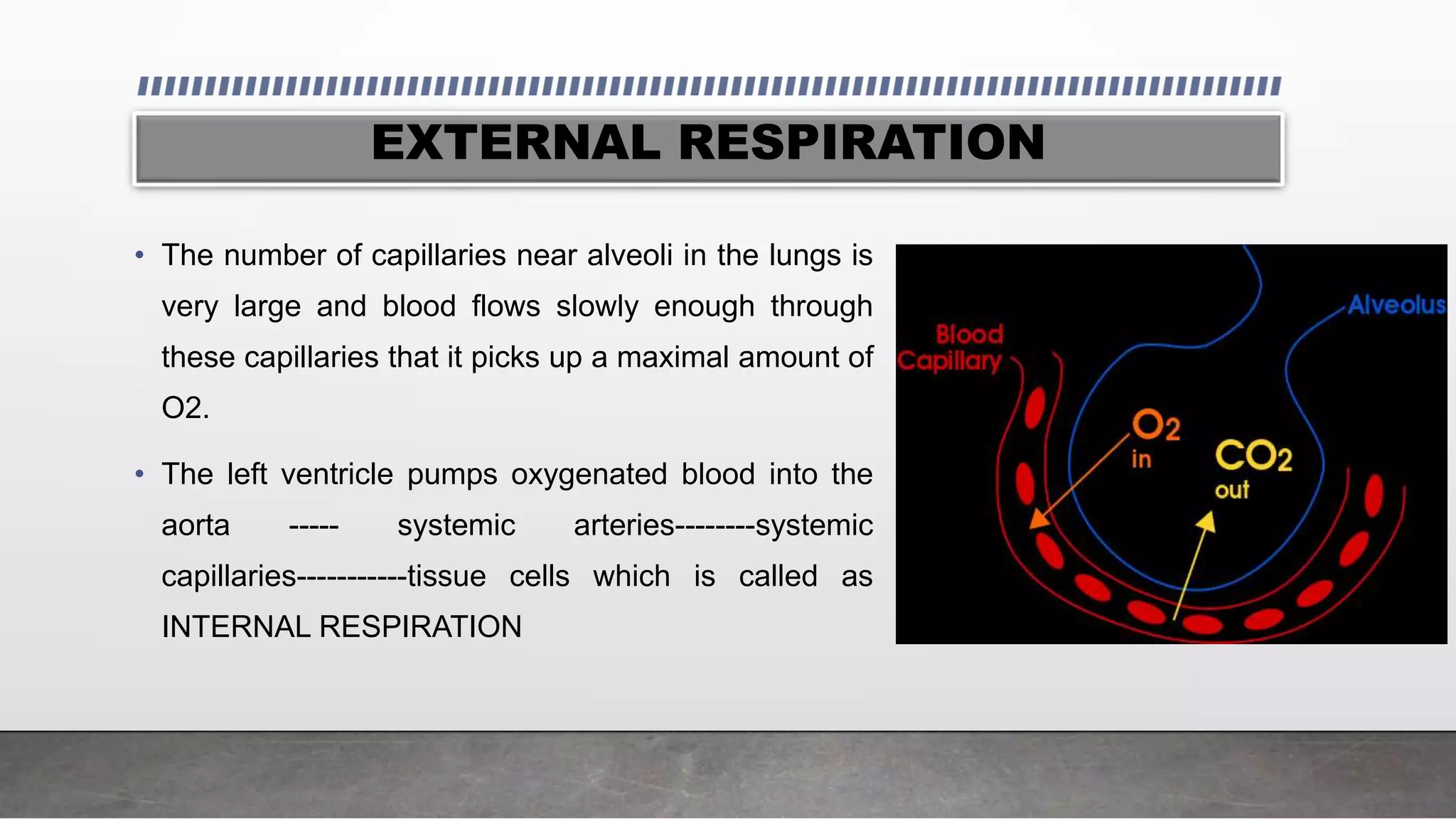Int and ext respiration | PPTX