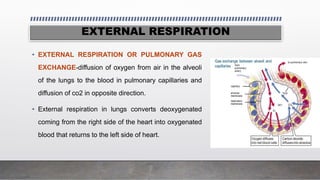 Int and ext respiration | PPTX