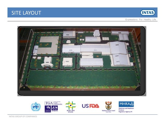 Intas corporate ppt | PDF