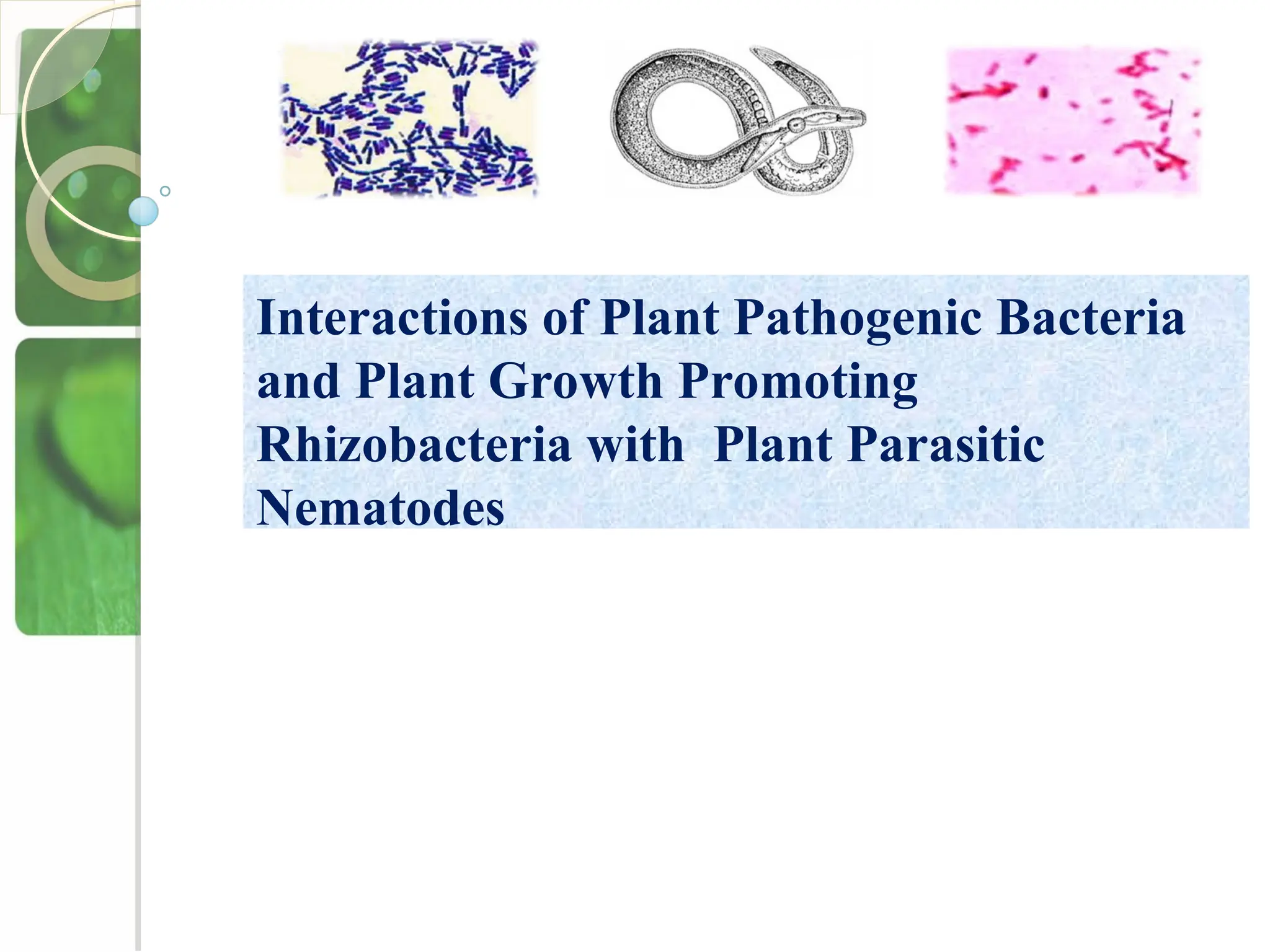 interaction of bacteria with nematodes with examples | PPT