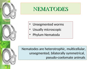 interaction of bacteria with nematodes with examples | PPT