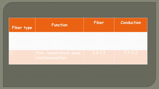 intdofsensorysystemf-150922031359-lva1-app6892.pptx