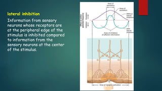 Intd of sensory systemf | PPT