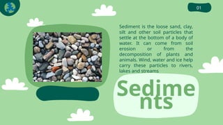 presentation of science powerporint from a highschool student | PPT