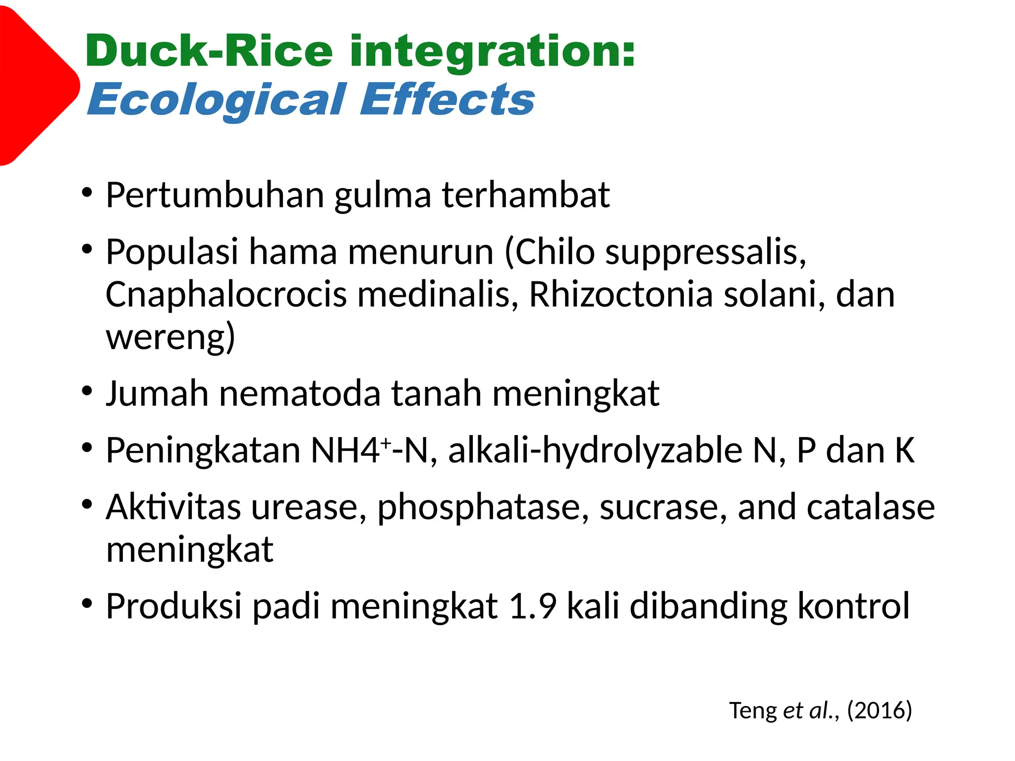 Integrasi ternak itik dan padi untuk pertanian berkelanjutan | PPTX