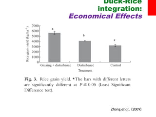 Integrasi ternak itik dan padi untuk pertanian berkelanjutan | PPTX