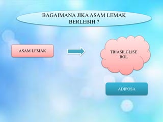 INTEGRASI METABOLISME | PPTX