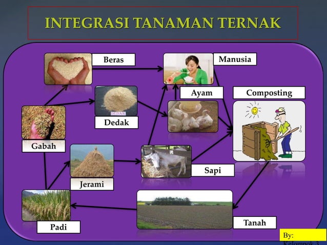 Sistem Pertanian Terpadu (Integrasi Tanaman - Ternak) | PPTX