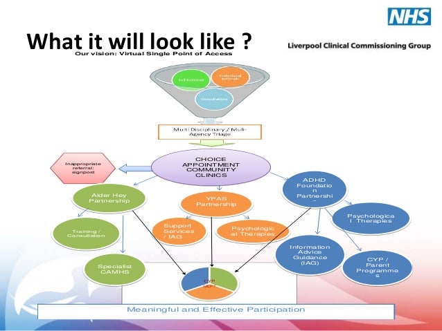 An integrated care pathway – CAMHS and counselling working together-L…