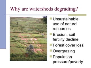 Integrated Approaches to Nutrient Reduction: Protecting Soil and Water ...
