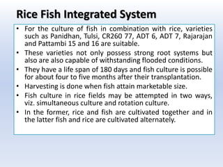INTEGRATED FISH FARMING & MANAGEMENT | PDF
