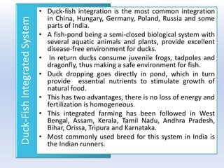 INTEGRATED FISH FARMING & MANAGEMENT | PDF