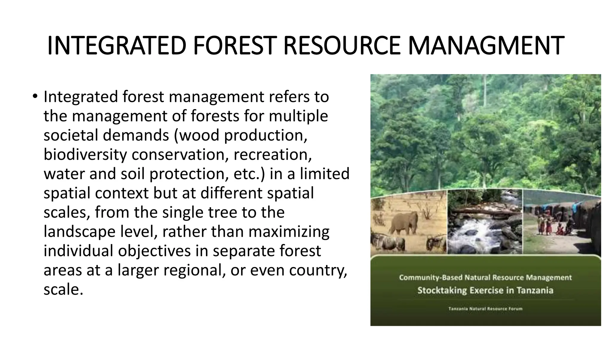 INTEGRATED-FOREST-RESOURCES-MANAGEMENT.pptx