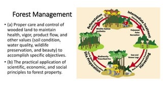 INTEGRATED-FOREST-RESOURCES-MANAGEMENT.pptx
