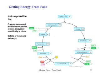 (All types of) integrated-metabolism.ppt