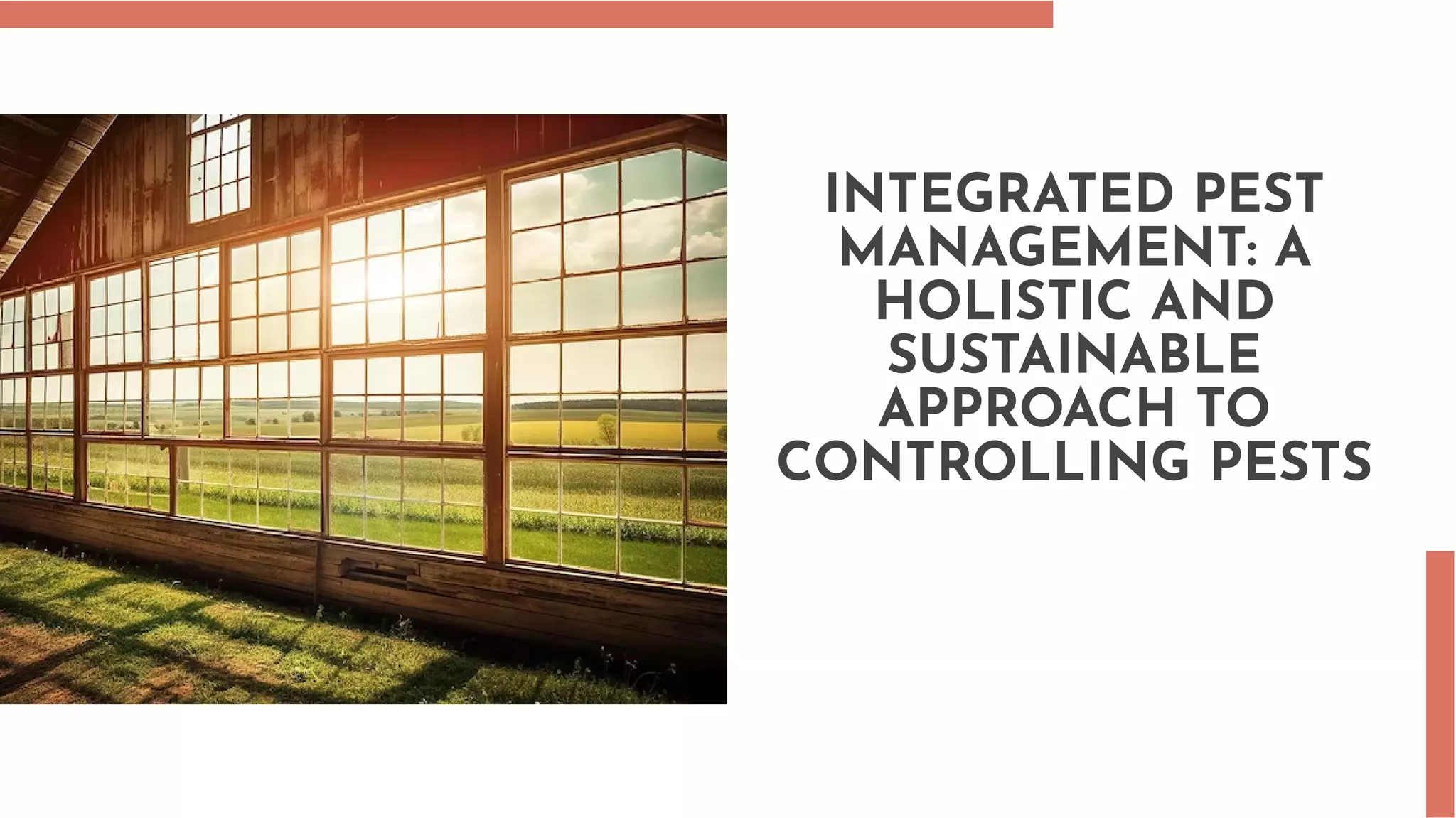 The Importance of Integrated Pest Management: A Sustainable Approach to ...