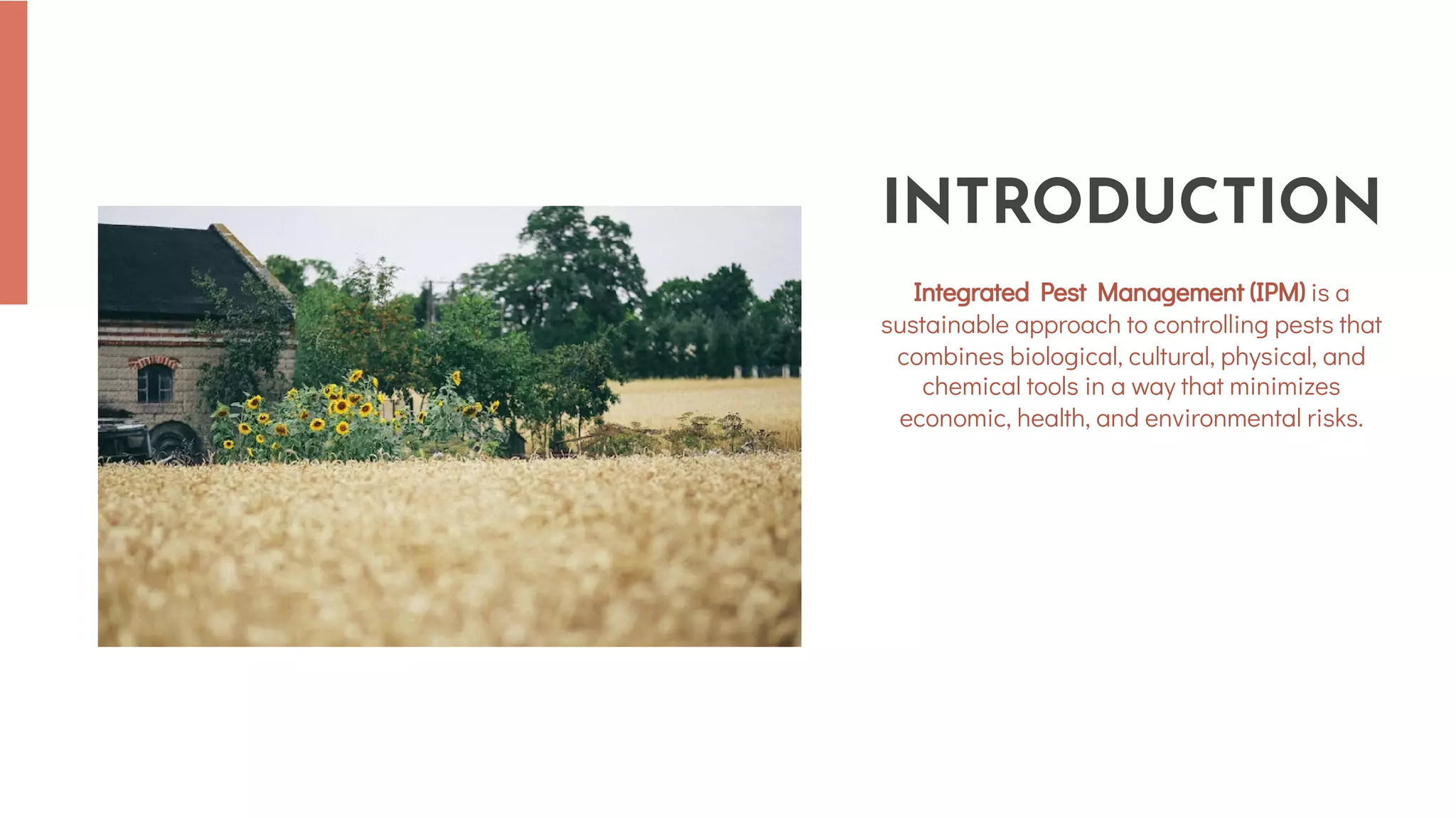 The Importance of Integrated Pest Management: A Sustainable Approach to ...