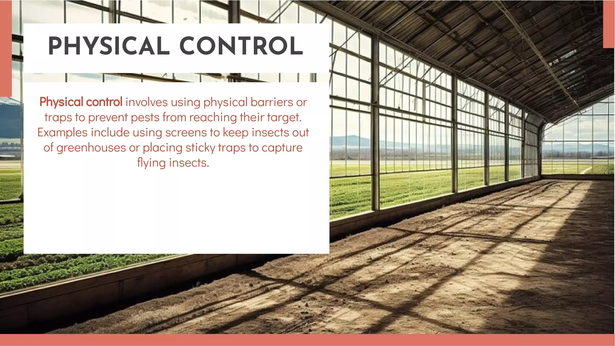 The Importance of Integrated Pest Management: A Sustainable Approach to ...