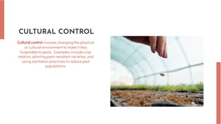 The Importance of Integrated Pest Management: A Sustainable Approach to ...