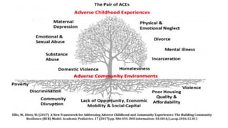 Integrated Behavioral Health: Approaches to hypertension, toxic stress ...