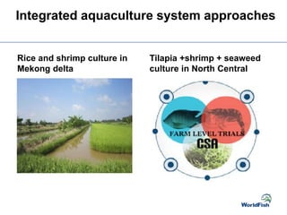 Integrated aquaculture systems as climate smart aquaculture and ...