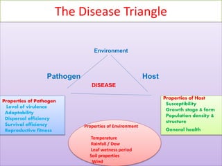Integrated cereal crops disease | PPTX