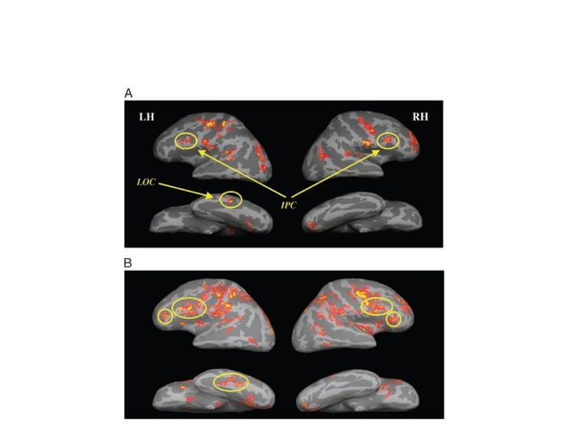 Integrated Contextual Representation For Objects Ppt