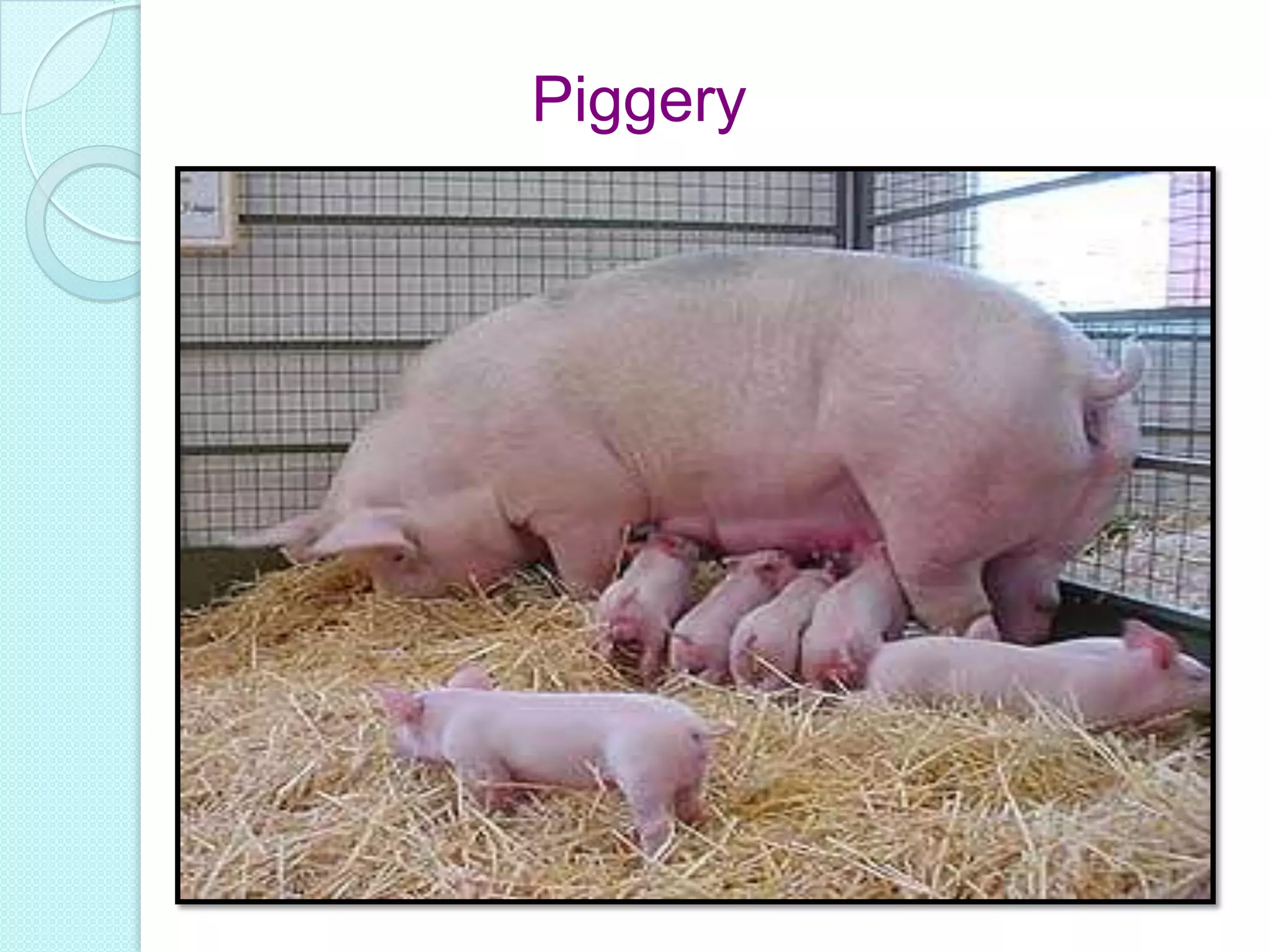 Integrated crop livestock system for sustainable crop production | PPT