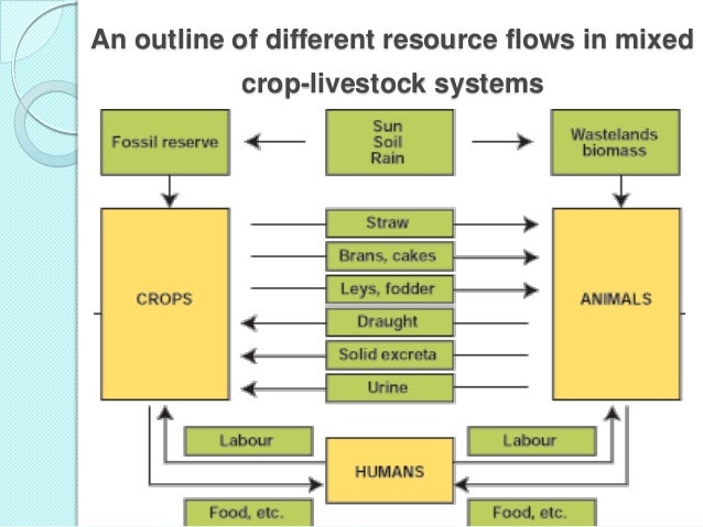 Integrated crop livestock system for sustainable crop production