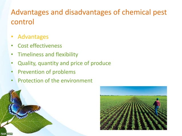 Chemical control of pest management | PPTX | Gardening | Home & Garden