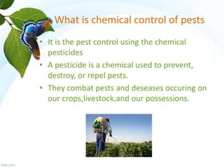 Chemical control of pest management | PPTX