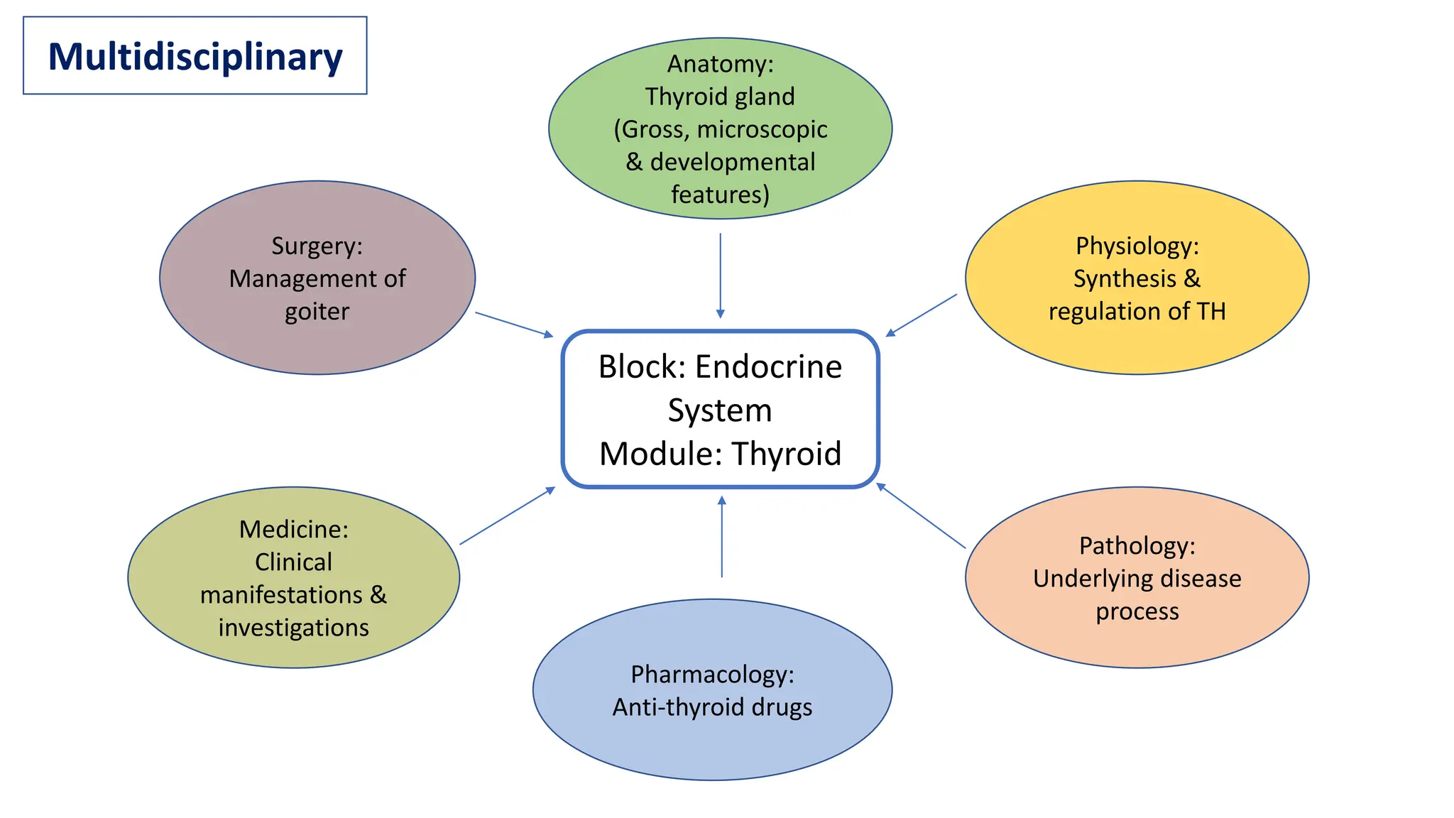 Integrated Curriculum-Dr.Rehmah (1).pdf