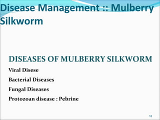 Integrated disease management in silkworm bombyx moril | PPT
