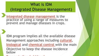 Integrated Disease Management Of Legume Vegetable & Tuber.pptx