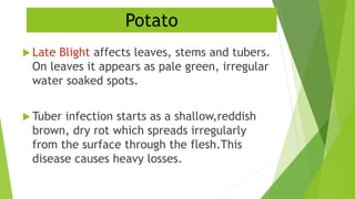 Integrated Disease Management Of Legume Vegetable & Tuber.pptx