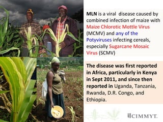 Integrated disease management technologies and approaches in changing ...