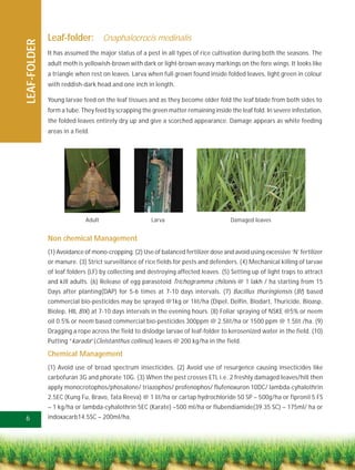 Integrated Disease Pest Management - IDPM | PDF