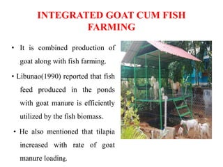 Integrated farming | PPTX