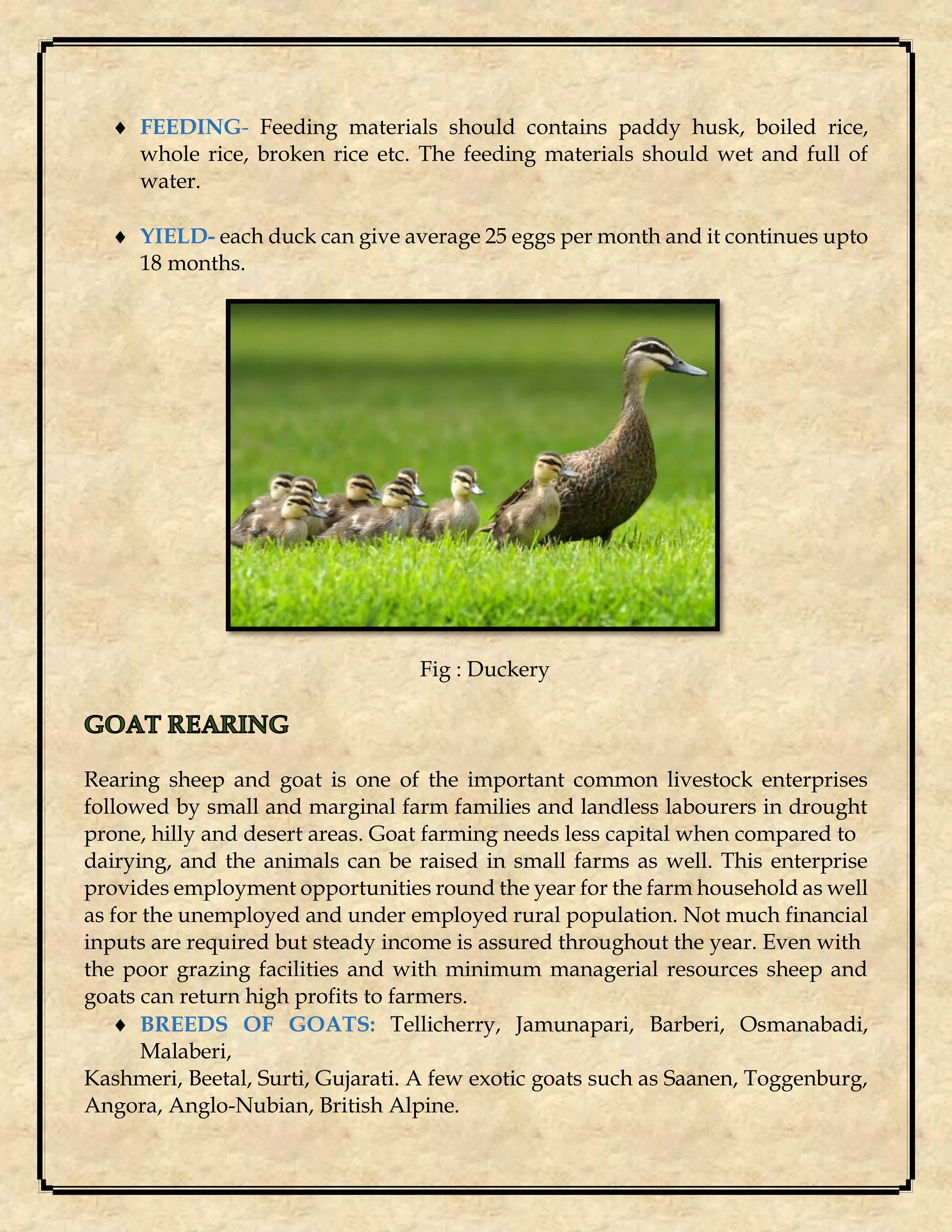 Integrated farming system IN rainfed ecosystem | PDF