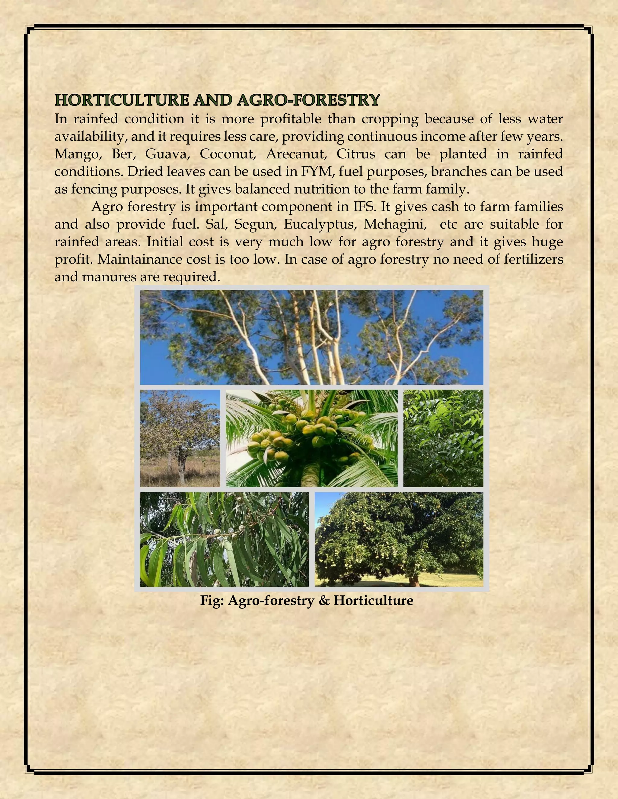 Integrated farming system IN rainfed ecosystem | PDF